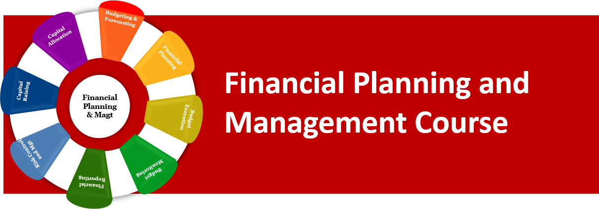 Financial Planning, Budgeting and Management in the Public Sector ...